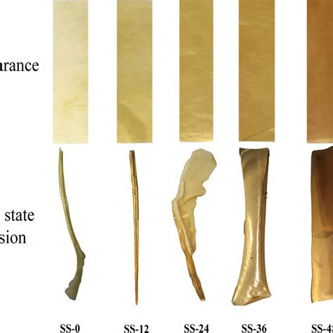Appearance Before And After Immersion In Water Of Soybean Protein