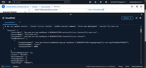 Enable And Verify Ecs Exec Functionality Infrastructure As Code Introduction To Cloudformation
