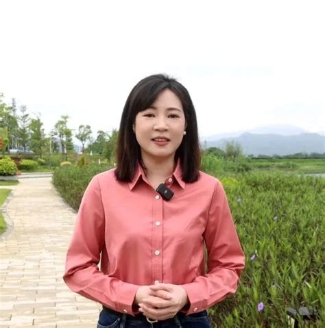 联安鹭影禾香乡村振兴示范带文旅融合绘就美丽画卷 海丰县人民政府