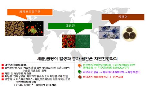미생물관리서비스