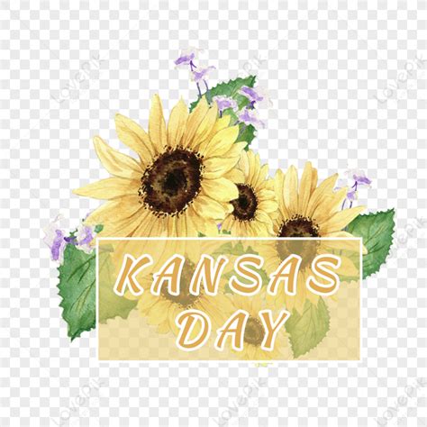 캔자스 기념일 황금 일러스트웨딩포도 수확장식 Png 일러스트 무료 다운로드 Lovepik