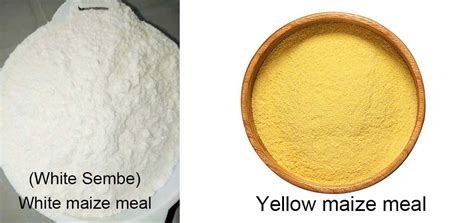 Maize Milling Business Maize Milling Activities Maize Milling Process