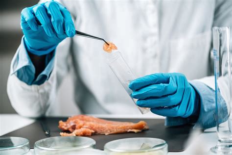 Usda To Revamp Salmonella Prevention Efforts New Food Magazine