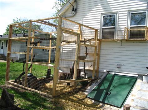 9 Free Diy Catio Plans