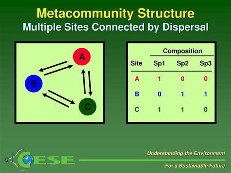 Ppt Metacommunity Structure In The Caribbean Perspectives Models And Data Powerpoint