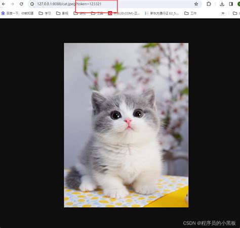 Nginx做静态文件服务器，如何进行权限验证呢？nginx静态资源鉴权 Csdn博客