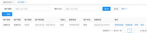 多租户saas系统 Flowable工作流 自动代码生成器 Diboot低代码开发平台