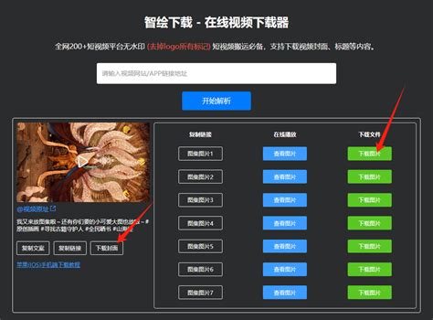视频解析下载器视频下载工具哔哩哔哩b站视频解析下载 解析下载网 视频解析下载器视频下载工具哔哩哔哩b站视频解析下载 解析下载网