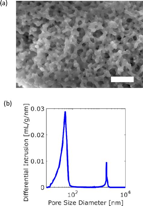 Figure 1 From Nano Particle Motion In Monolithic Silica Column Using Single Particle Tracking