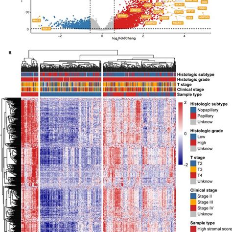 Volcano Plot And Heatmap By Desq2 Analysis Result A Volcano Plot Of