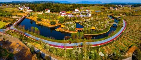 农旅融合绘就乡村振兴新图景江油发展农业