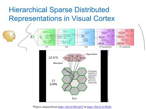 introduction to spiking neural networks from a computational