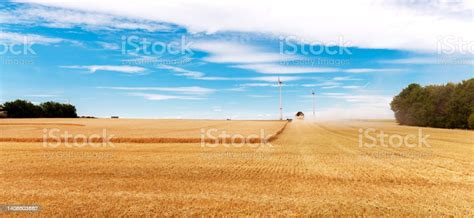 결합 수확기 절단 밀 밀 작물에 대한 현대 결합 수확기 밀밭에서 일하는 수확기를 결합하십시오 밀 수확 농업 0명에 대한 스톡