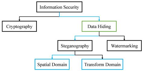 Applied Sciences Free Full Text Survey On Data Hiding Based On