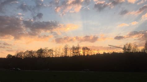 سياه و سفيد