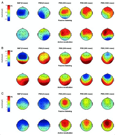 Topographical Scalp Distributions Of The Averaged Neural Responses To Download Scientific