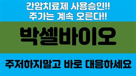 박셀바이오 간암치료제 사용승인 Youtube