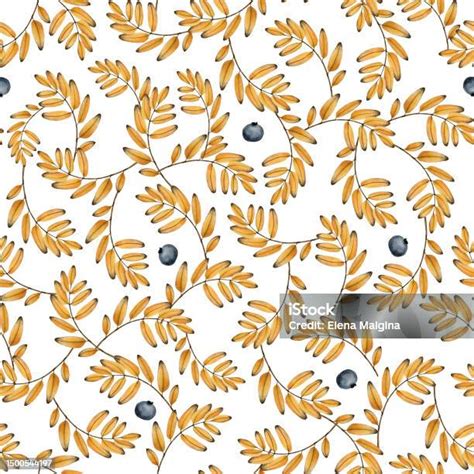 수채화 노란색 단풍과 파란색 열매는 흰색에 매끄러운 패턴입니다 가을 식물 배경은 직물과 직물을 위한 손으로 그린 식물 삽화를 가지고 있다 0명에 대한 스톡 벡터 아트 및