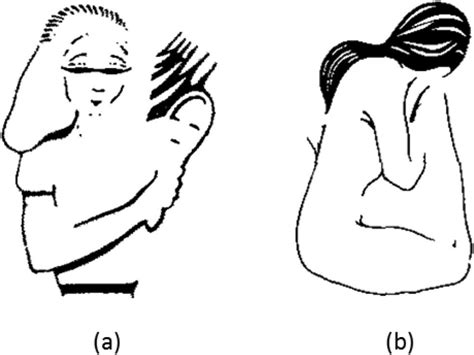 The Two Ambiguous Figures That Served As Drawing Models In This Download Scientific Diagram