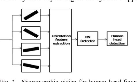 Figure 1 From Enhanced Neuromorphic Visual Processing By Segmented