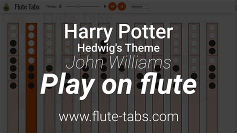 Harry Potter Hedwigs Theme Play On Flute Baroque C Soprano Youtube