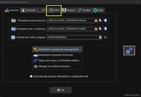 解决mobaxterm报错：因网络断开连接 An Error Occured While Starting The Following