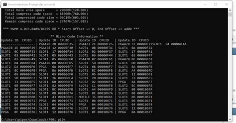 cpu microcode bios modding questions problems cpu microcodes win