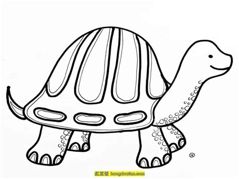 7张手绘小乌龟小海龟小陆龟卡通儿童简笔画 红豆饭小学生简笔画大全 花瓣网