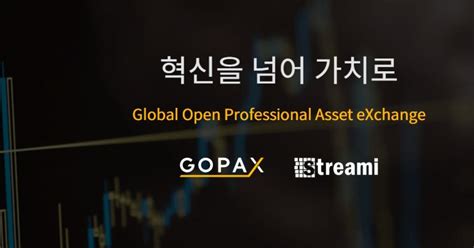 바이낸스 고팍스 인수 마무리 수순 이준행 대표 남은 과제는