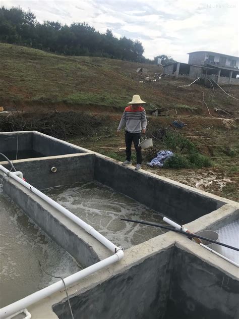 碳钢材质酸碱中和池 环保在线