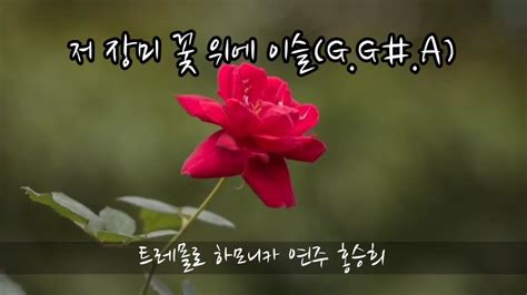 [저 장미꽃 위에 이슬 G G A ] 트레몰로 하모니카 연주 홍승희 소리크게조절 Youtube