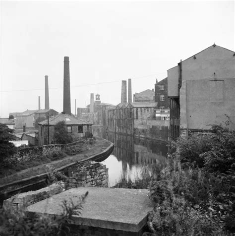 Spiders Triangle Weaver Gallery Photos Framed Prints Puzzles Posters