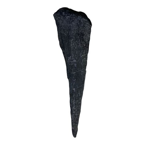 Tail Spike Replica Stegosaurus Tyrannostorus