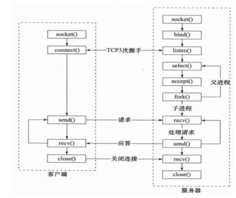 网络编程:基于tcpudp实现客户端和服务端通信(c语言实现简单易懂) 知乎 网络编程:基于tcpudp实现客户端和服务端通信(c语言实现简单易懂) 知乎