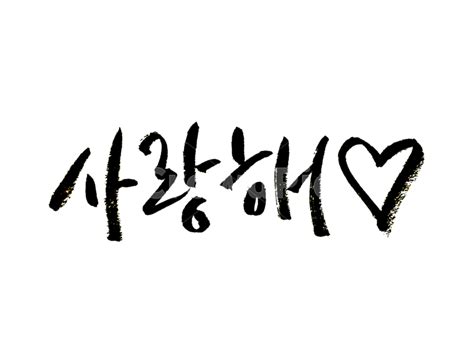사랑해 캘리 사랑해캘리그라피 캘리그라피 글씨 사진 이미지 일러스트 캘리그라피 Raoni작가