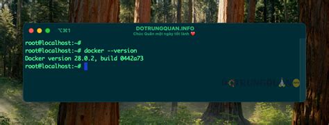 Hướng Dẫn Cài đặt Docker Trên Ubuntu Đỗ Trung Quân