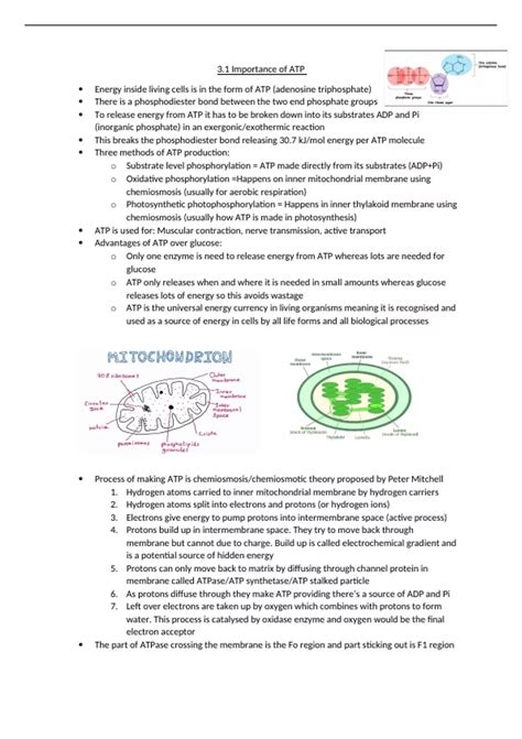 A Level Biology Unit 3 Stuvia Uk