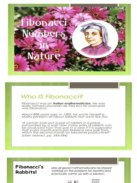 Fibonacci Numbers Pdf