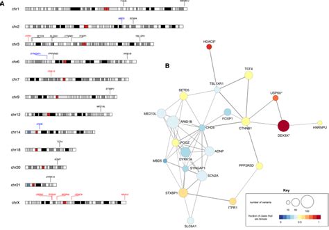 Sex Based Analysis Of De Novo Variants In Neurodevelopmental Disorders Pmc