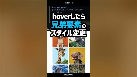 Hoverで、兄弟要素のスタイルを変更する方法 Shorts コーディング プログラミング Htmlcss Html Css Javascript Webデザイン Youtube