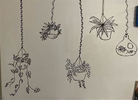 Plant Aesthetic Whiteboard Drawing