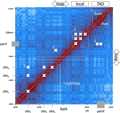 Illustration Of Query Modes Numbers Indicate The Corresponding Query