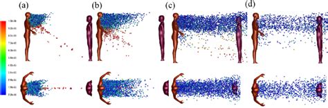 Droplet Dispersion Side And Top Down Views For Two Persons Spaced 2 M Download Scientific