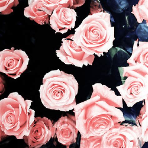 Правоъгълен паралелепипед елементи и развивка