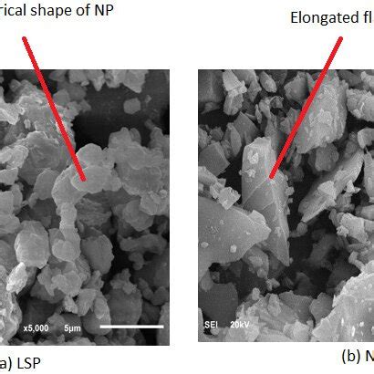 Micrograph Images Of A LSP And B NP Download Scientific Diagram