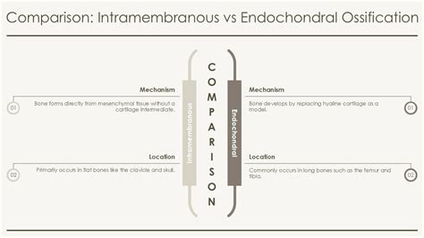 Intramembranous Ossification Vs Endochondral Ossification