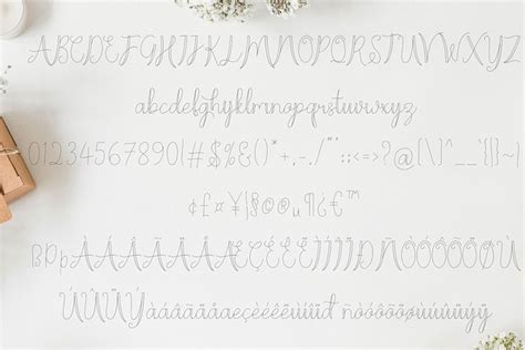 Moon Line Script Line Script Font Stunning Script Fonts ~ Creative