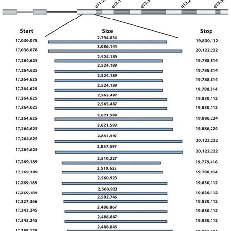 Representative Example Of Array Comparative Genomic Hybridization Download Scientific Diagram