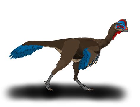 Anzu Wyliei By Trefrex On Deviantart