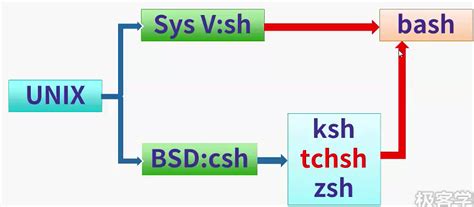 Linux的Bash Shell详解 阿里云开发者社区